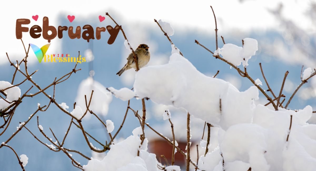 150+ New Month Quotes to Inspire Motivation, Goals & Fresh Starts